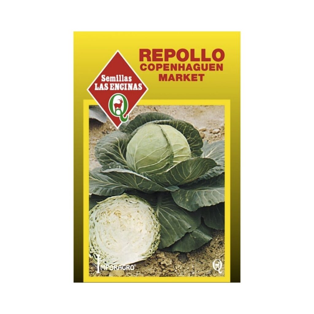 Semillas de Repollo Copenhague Market - Rocaverde Chile