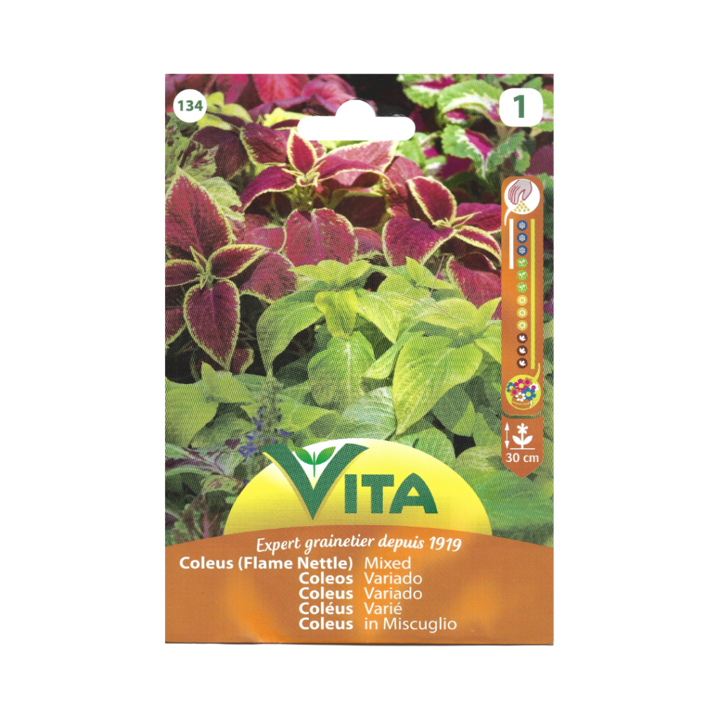 Semillas de Coleus Variado - Rocaverde Chile