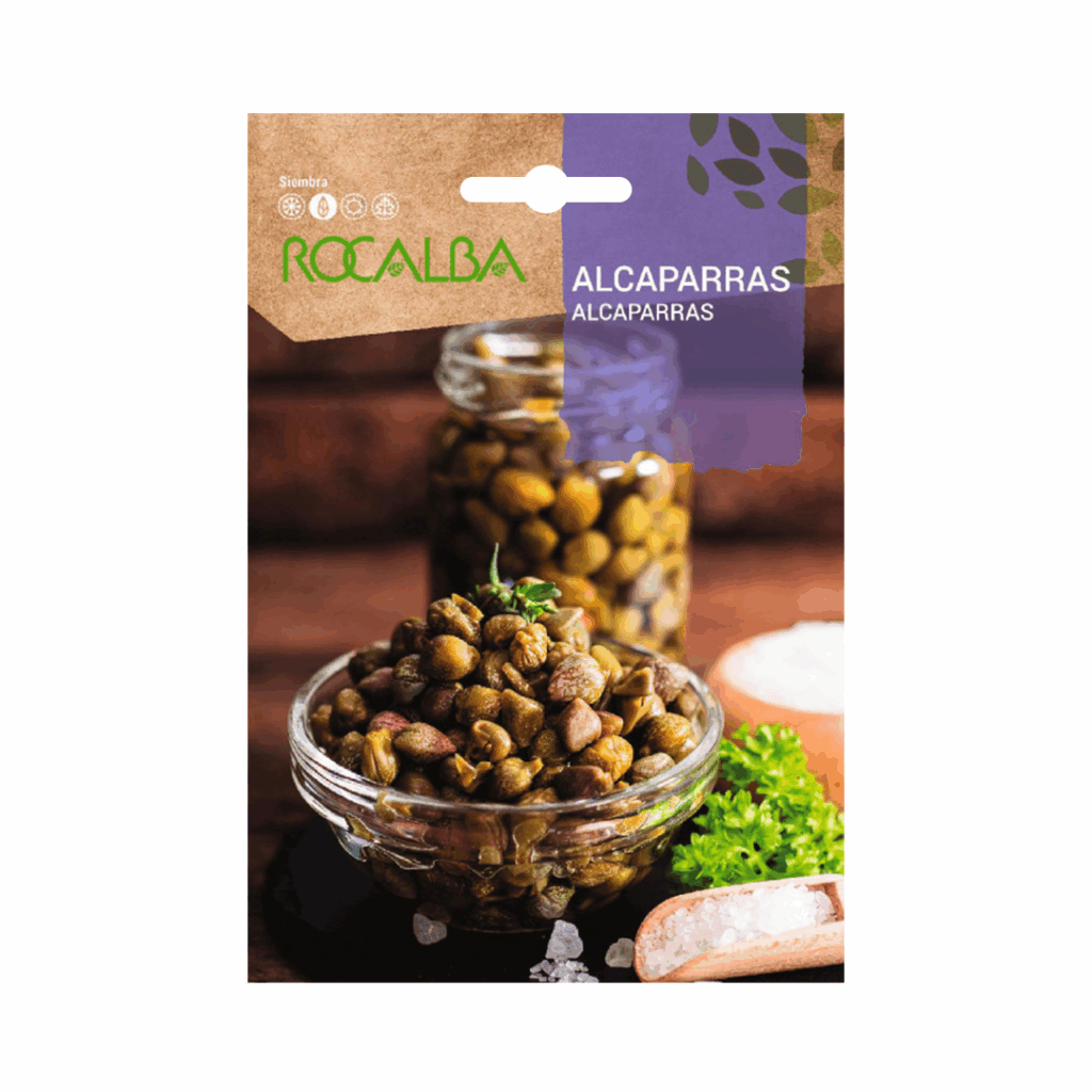 Semillas de Alcaparras - Rocaverde Chile