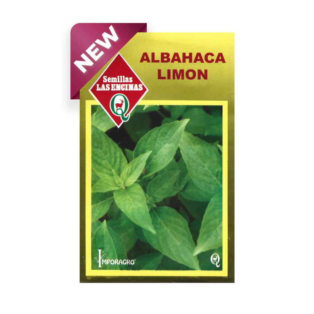 Semillas de Albahaca Limón Las Encinas - Rocaverde Chile