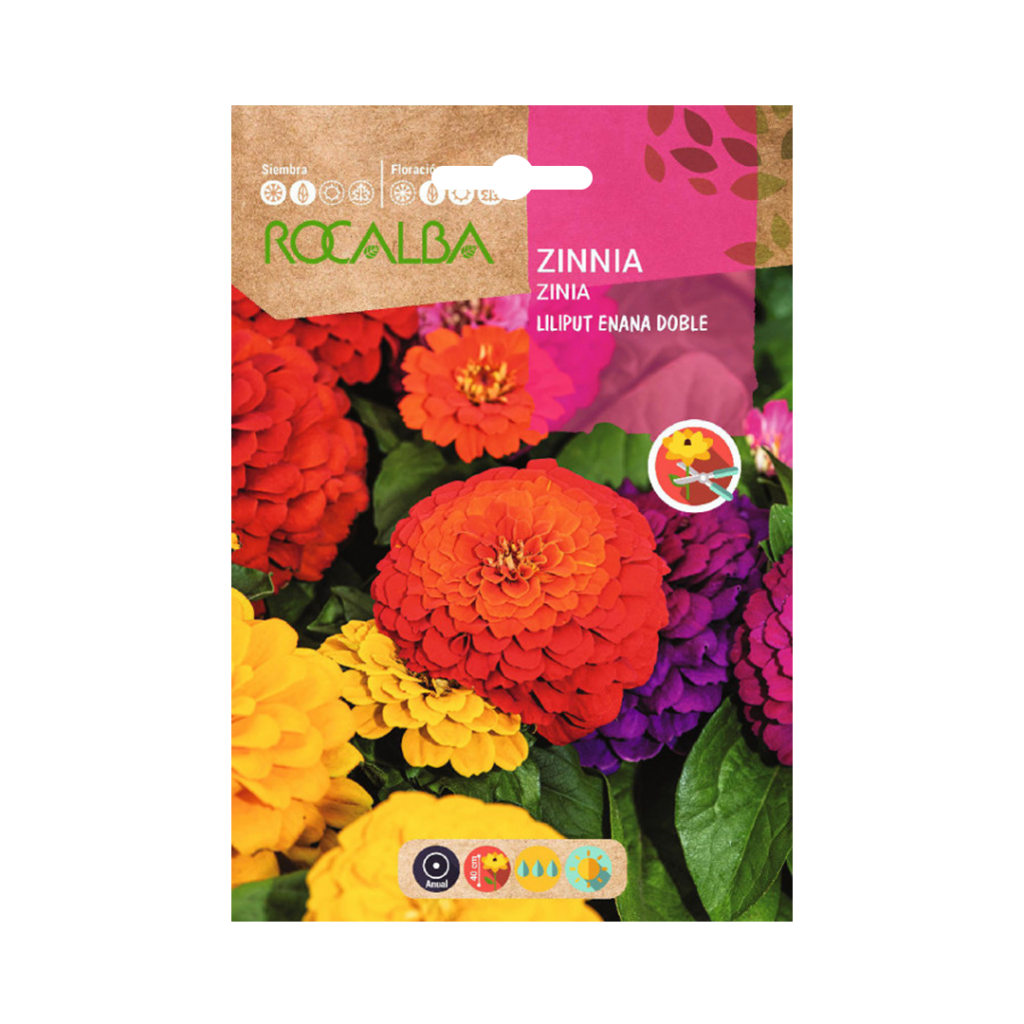 Semillas de Zinnia Liliput Enana Doble Variada Rocalba - Rocaverde Chile